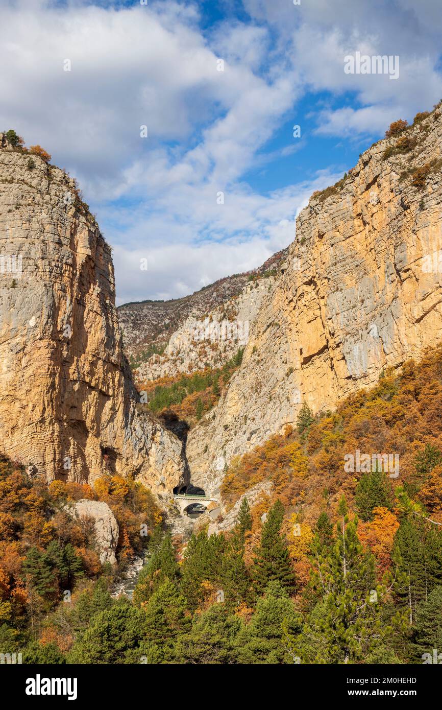 Andy goldsworthy tree hi-res stock photography and images - Alamy