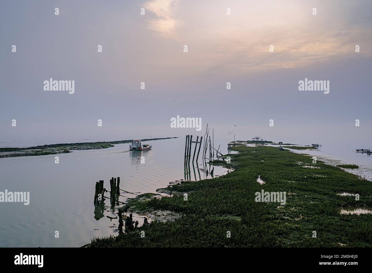 France, Charente Maritime, island of Oleron, Dolus, chanel of Baudissi ...