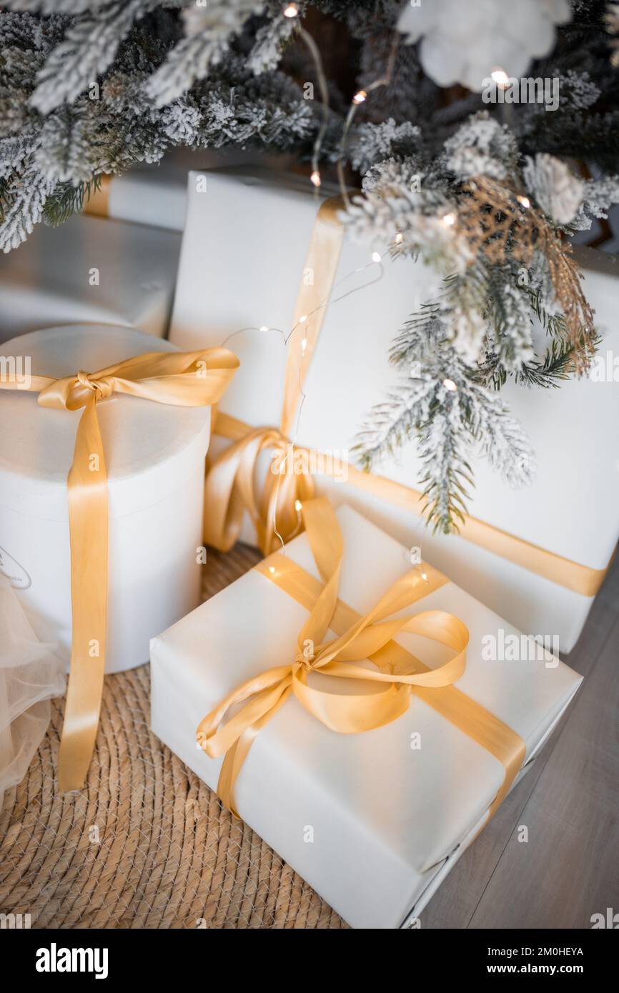 Beautiful Christmas gift boxes on floor near fir tree in room Stock ...