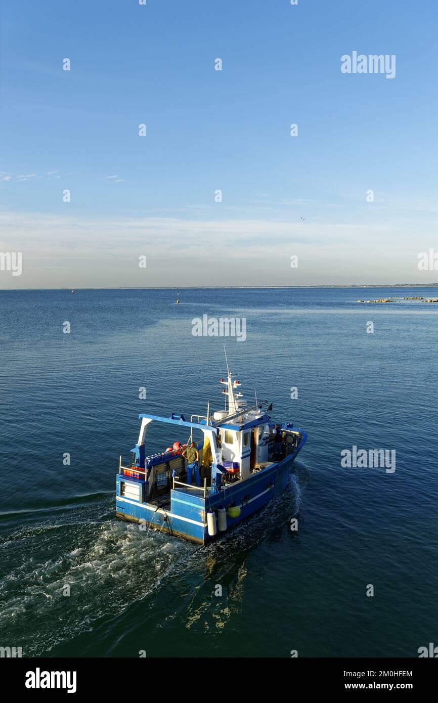 France, Manche, Cotentin, Val de Saire, Saint Vaast la Hougue, the ...