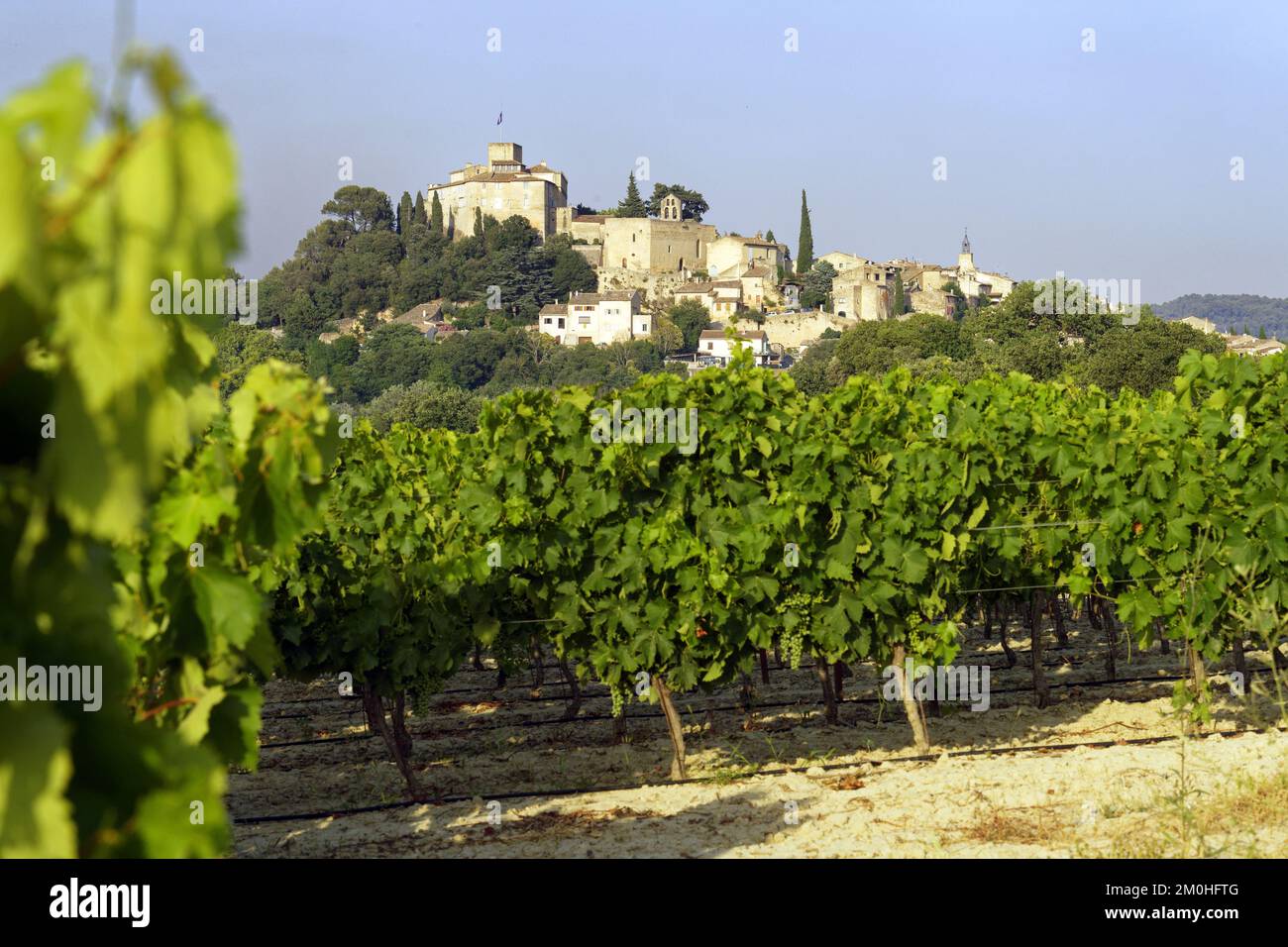 France, Vaucluse, Luberon Natural Regional Park, Ansouis, labelled Les ...