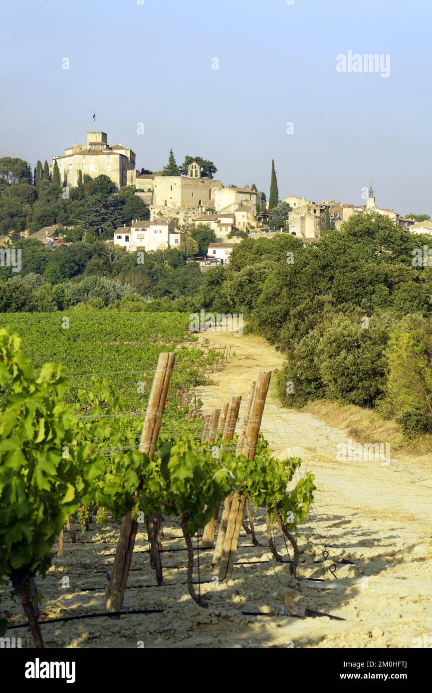 France, Vaucluse, Luberon Natural Regional Park, Ansouis, labelled Les ...