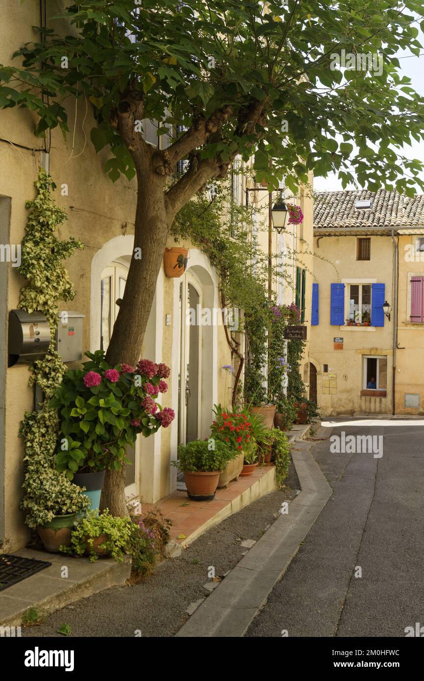 France, Vaucluse, Parc Naturel Regional du Luberon (Natural Regional ...