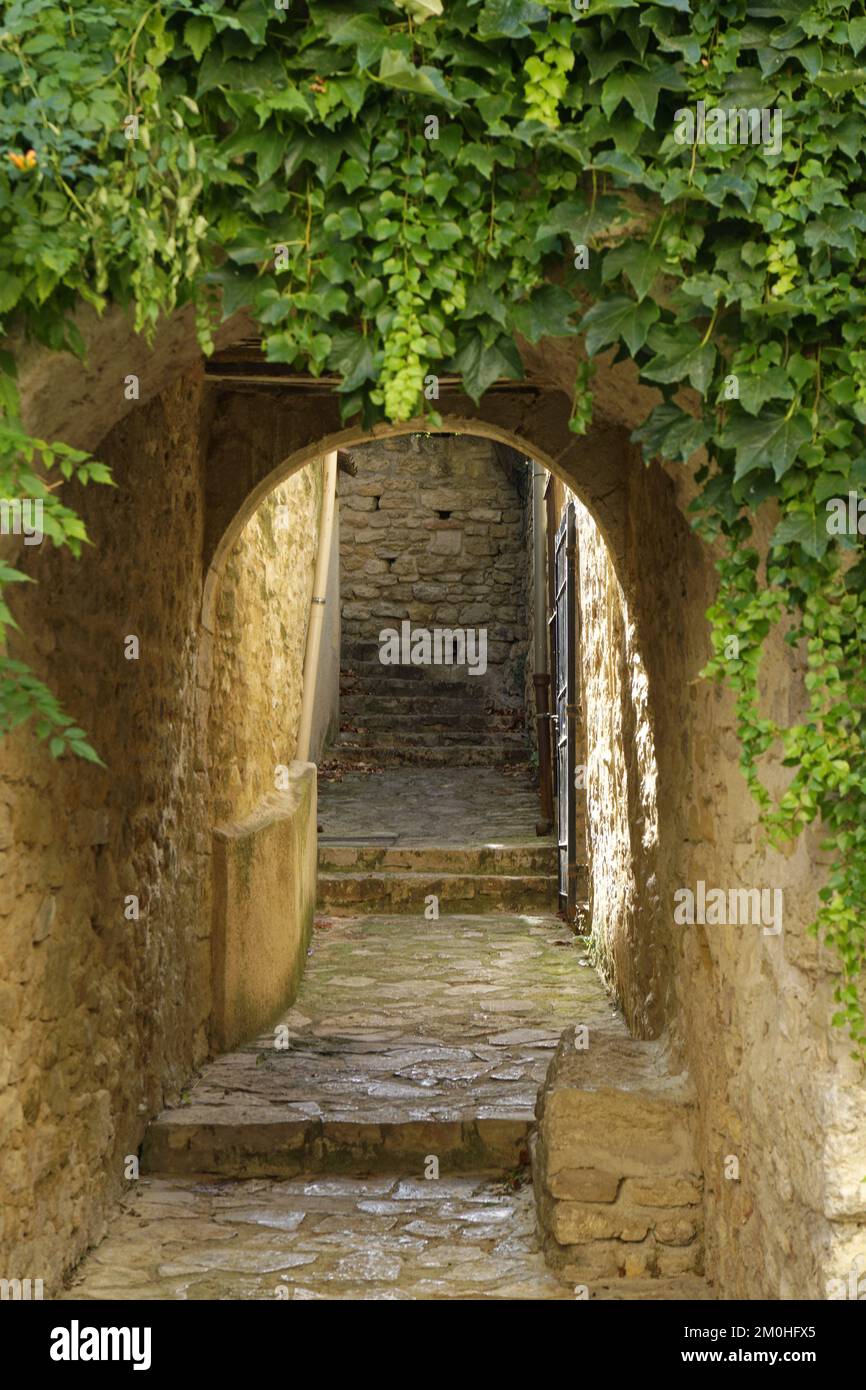 France, Vaucluse, Parc Naturel Regional du Luberon (Natural Regional ...