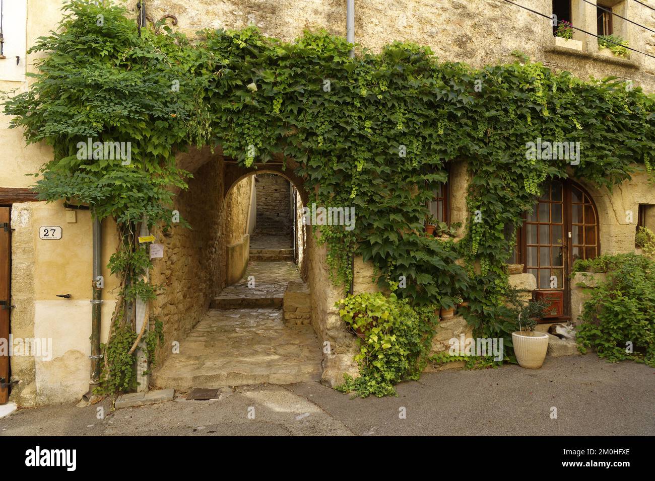 France, Vaucluse, Parc Naturel Regional du Luberon (Natural Regional ...