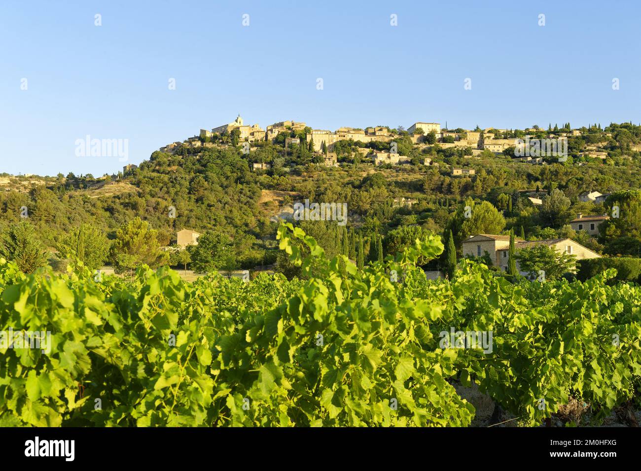 France, Vaucluse, Luberon regional natural park (parc naturel regional ...