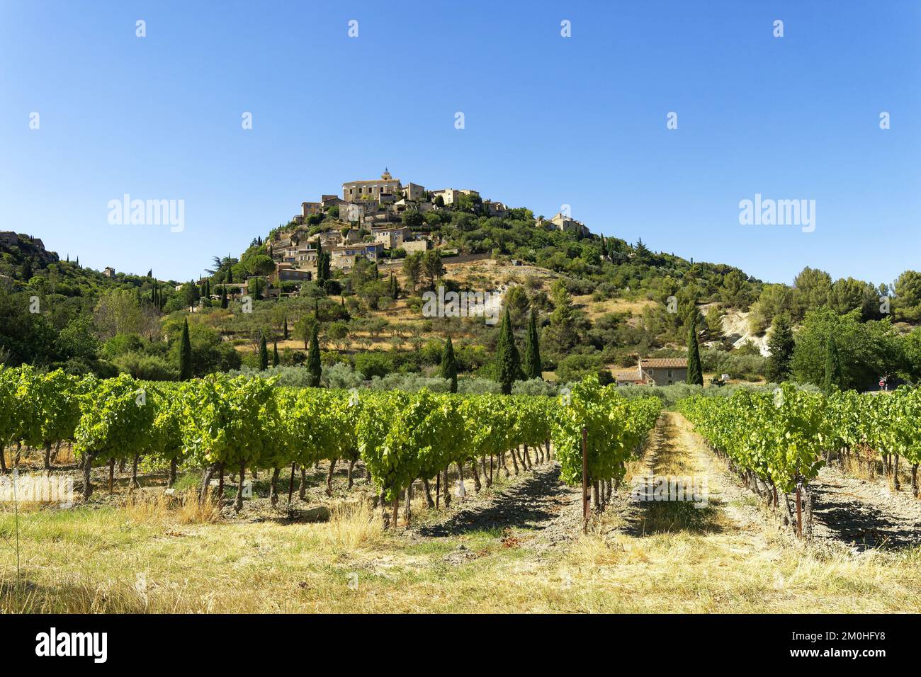France, Vaucluse, Luberon regional natural park (parc naturel regional ...