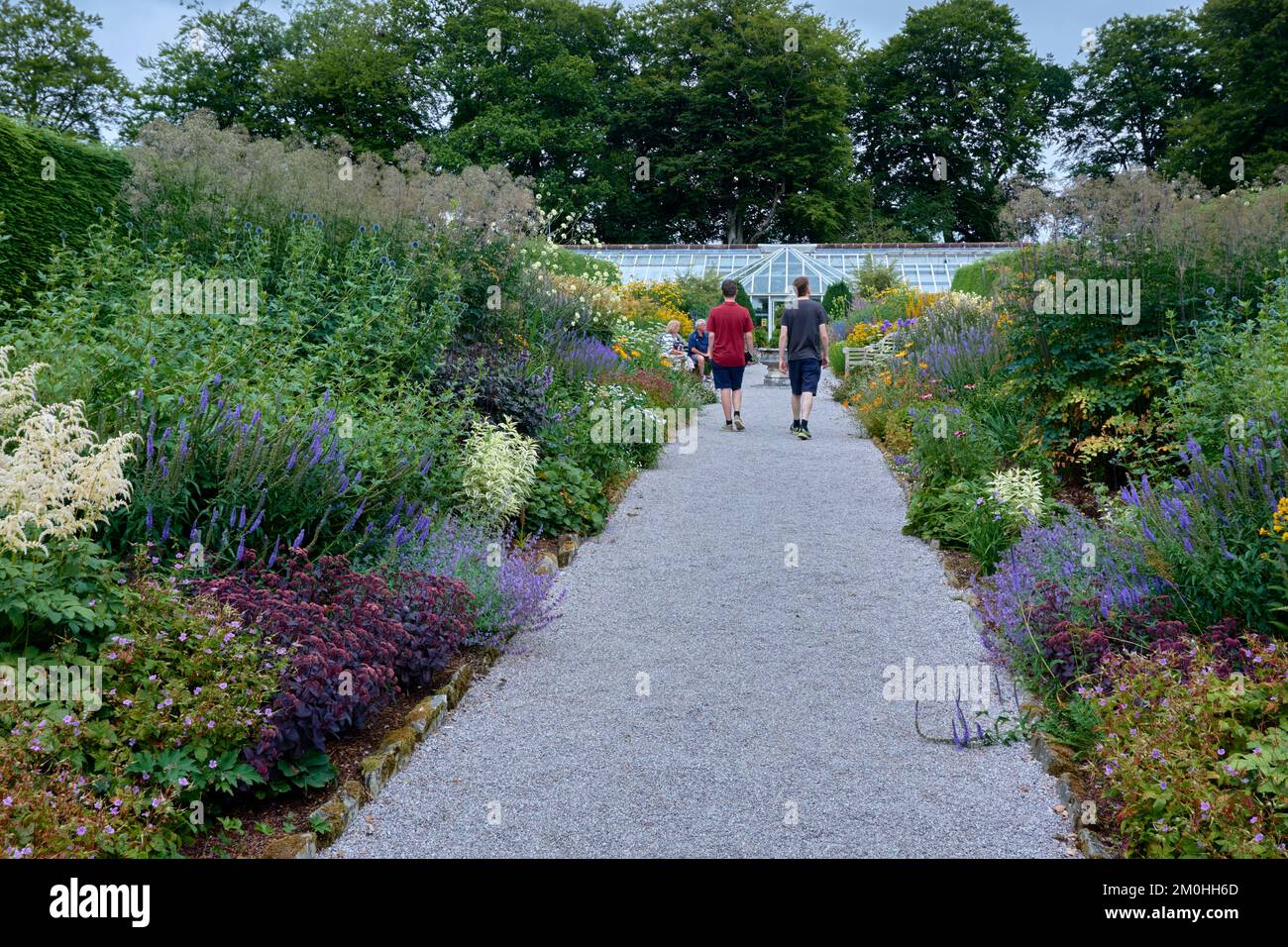 Herbaceous flower borders and greenhouse in the walled garden at ...
