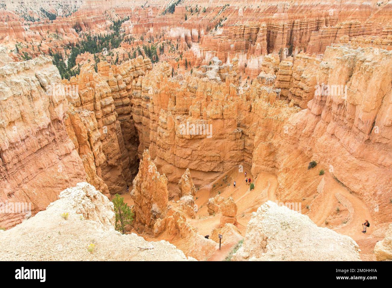 United States, USA, Colorado Plateau, Utah, Bryce Canyon, national park ...