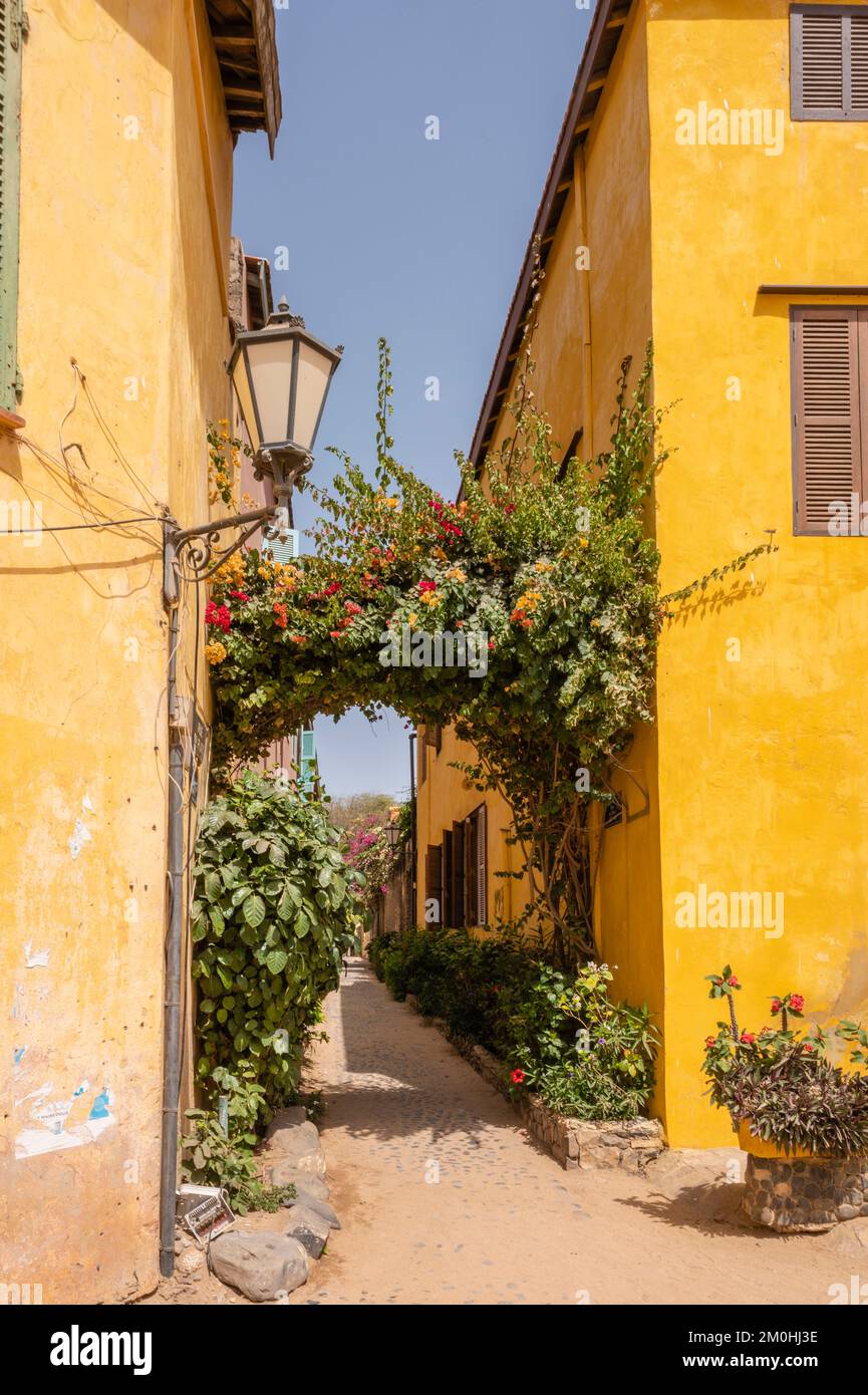 Senegal, Dakar, Gor?e island, listed as World Heritage by UNESCO ...