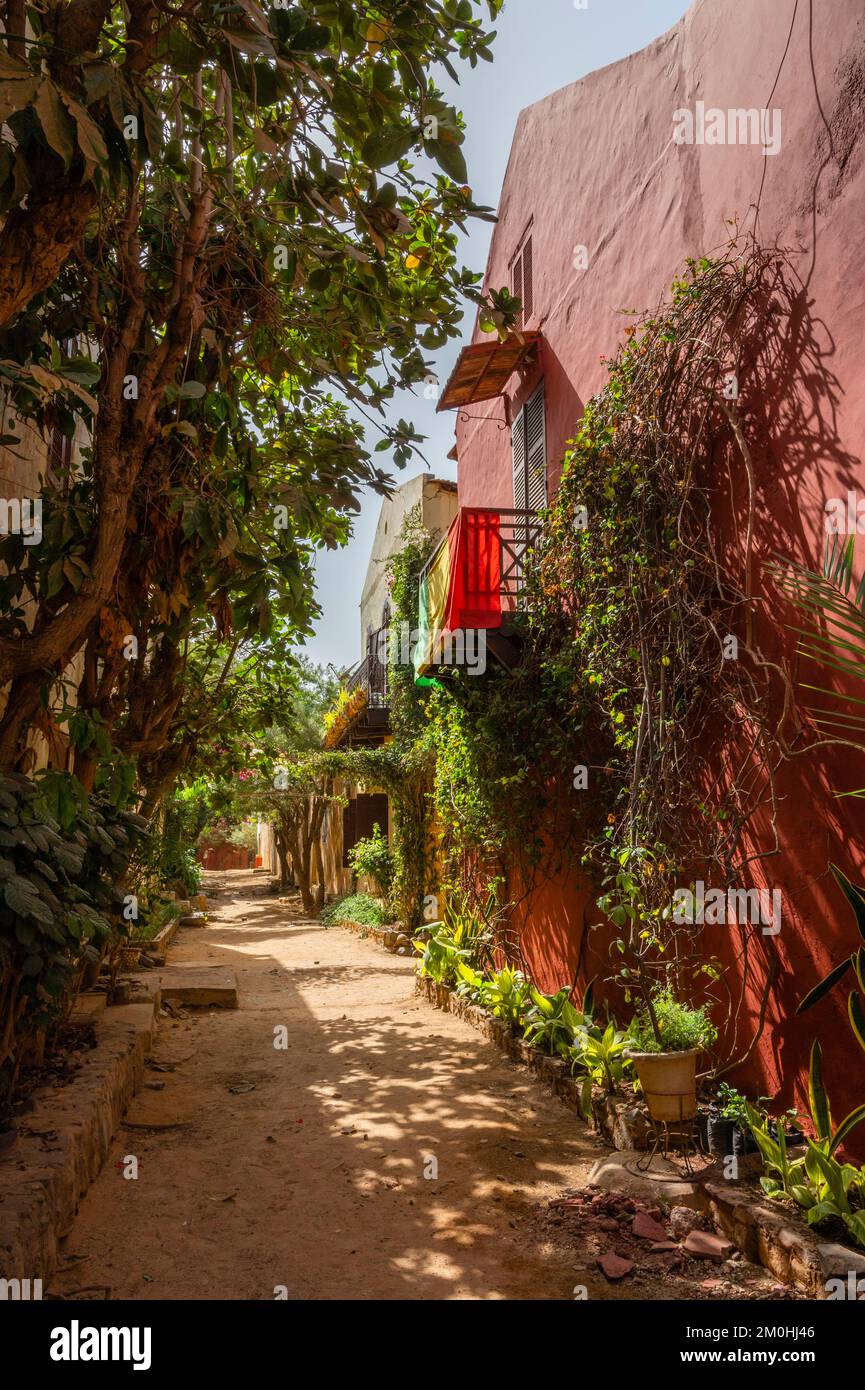 Senegal, Dakar, Gor?e island, listed as World Heritage by UNESCO ...