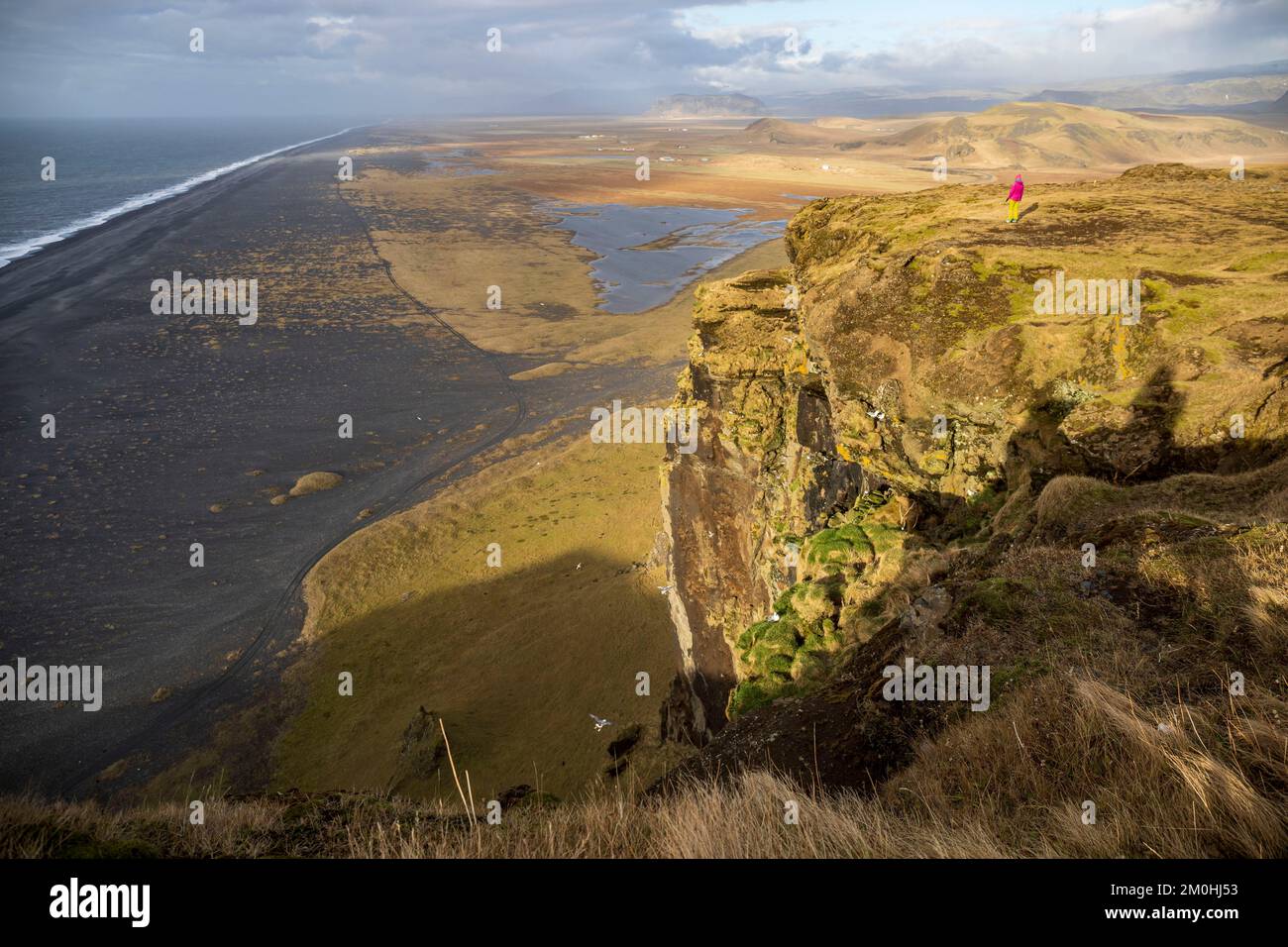 Iceland, Sudurland region, promontory of Cape Dyrh?laey at the ...