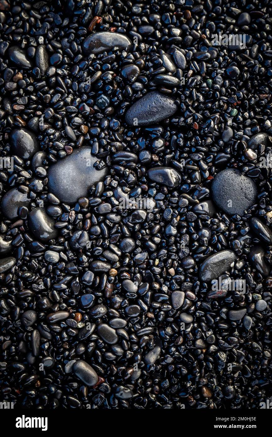 Iceland, Sudurland region, Vik, black sand beach of Reynisfjara, black ...