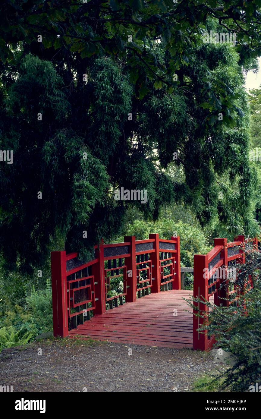 Red wooden Chinese style bridge at Threave Gardens near Castle Douglas ...