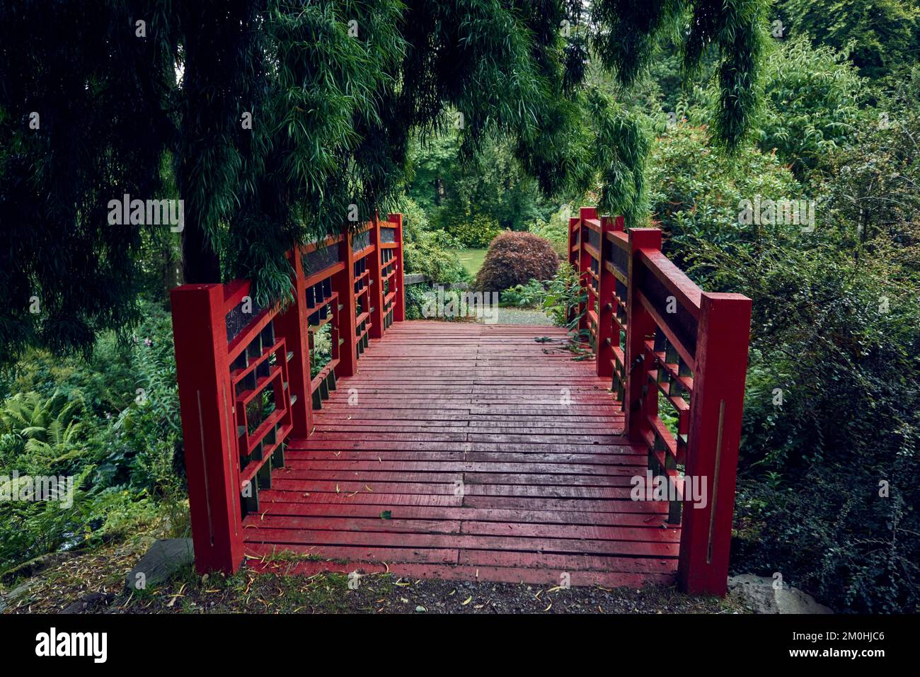 Red wooden Chinese style bridge at Threave Gardens near Castle Douglas ...