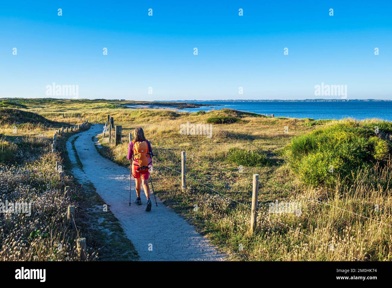 France, Morbihan, Ploemeur, hike on the coastal footpath or GR 34 long ...