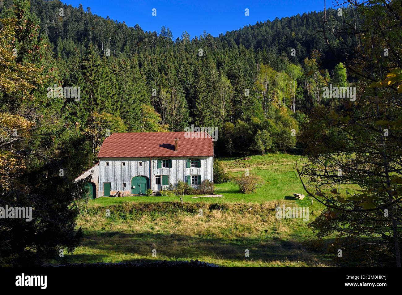 France, Vosges, Le Valtin, village in the upper valley of the Meurthe ...