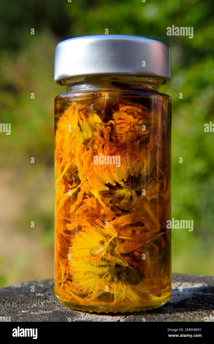 France, Vosges, Le Valtin, village in the upper valley of the Meurthe ...