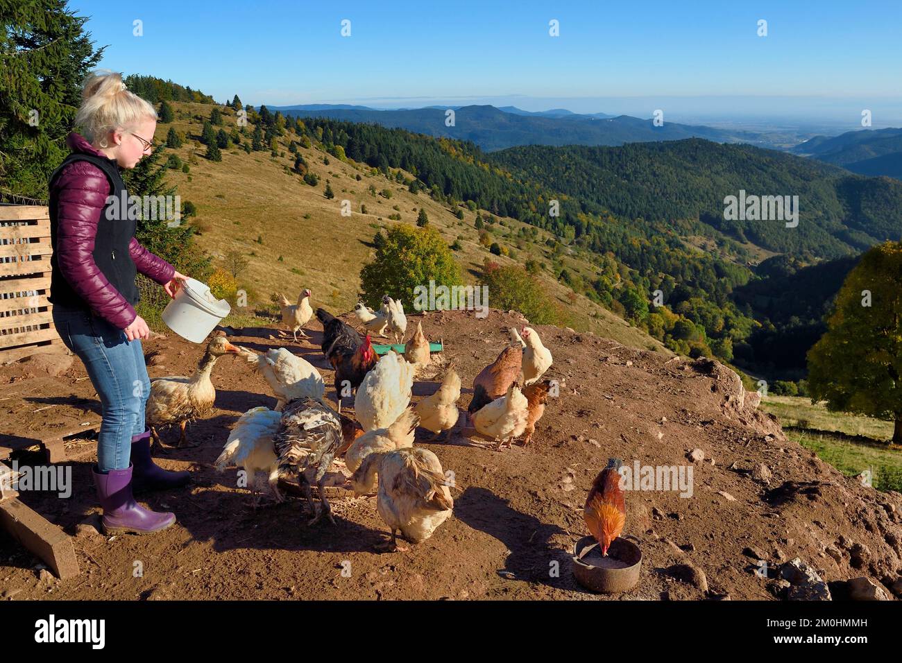 Ferme auberge vosges hi-res stock photography and images - Alamy