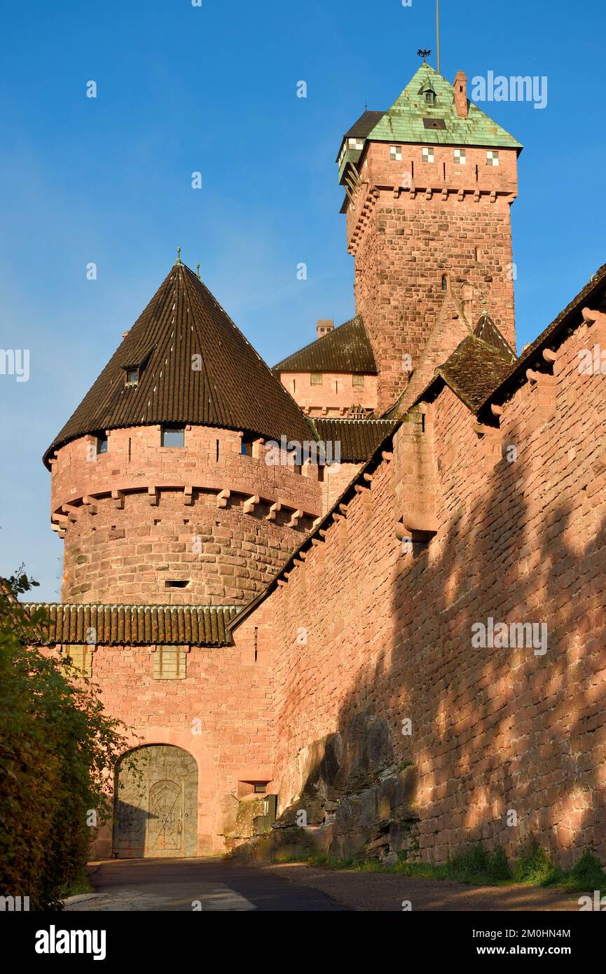 France, Bas Rhin, Orschwiller, Alsace Wine Road, Haut Koenigsbourg ...