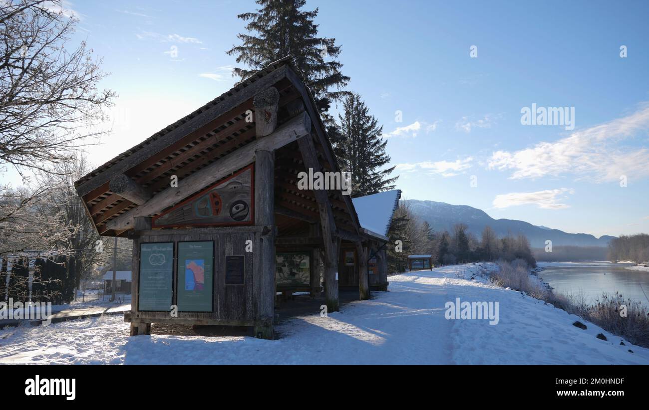 Brackendale eagles provincial park hi-res stock photography and images ...
