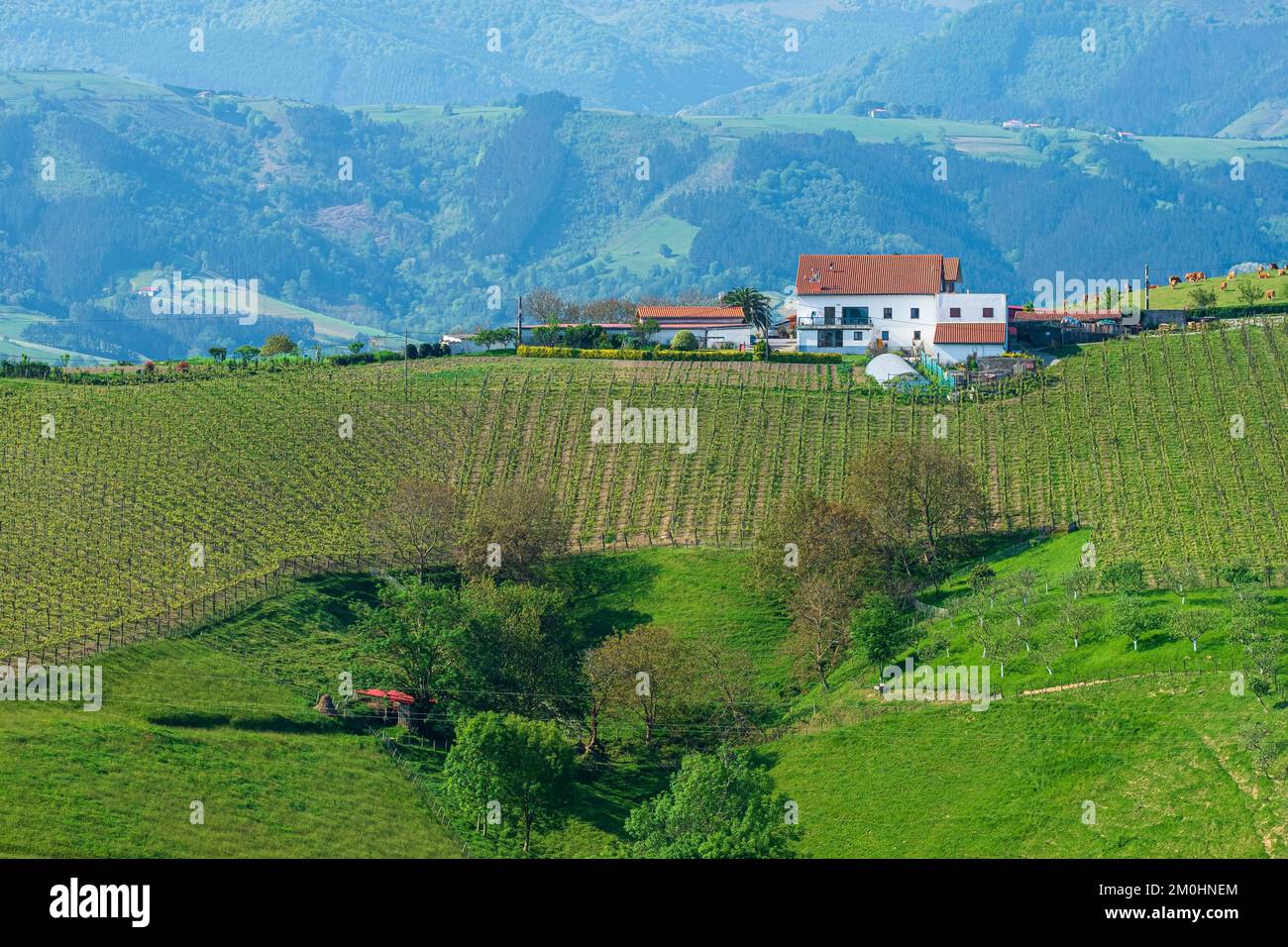 Spain, province of Gipuzkoa, surroundings of Deba, landscape along the ...