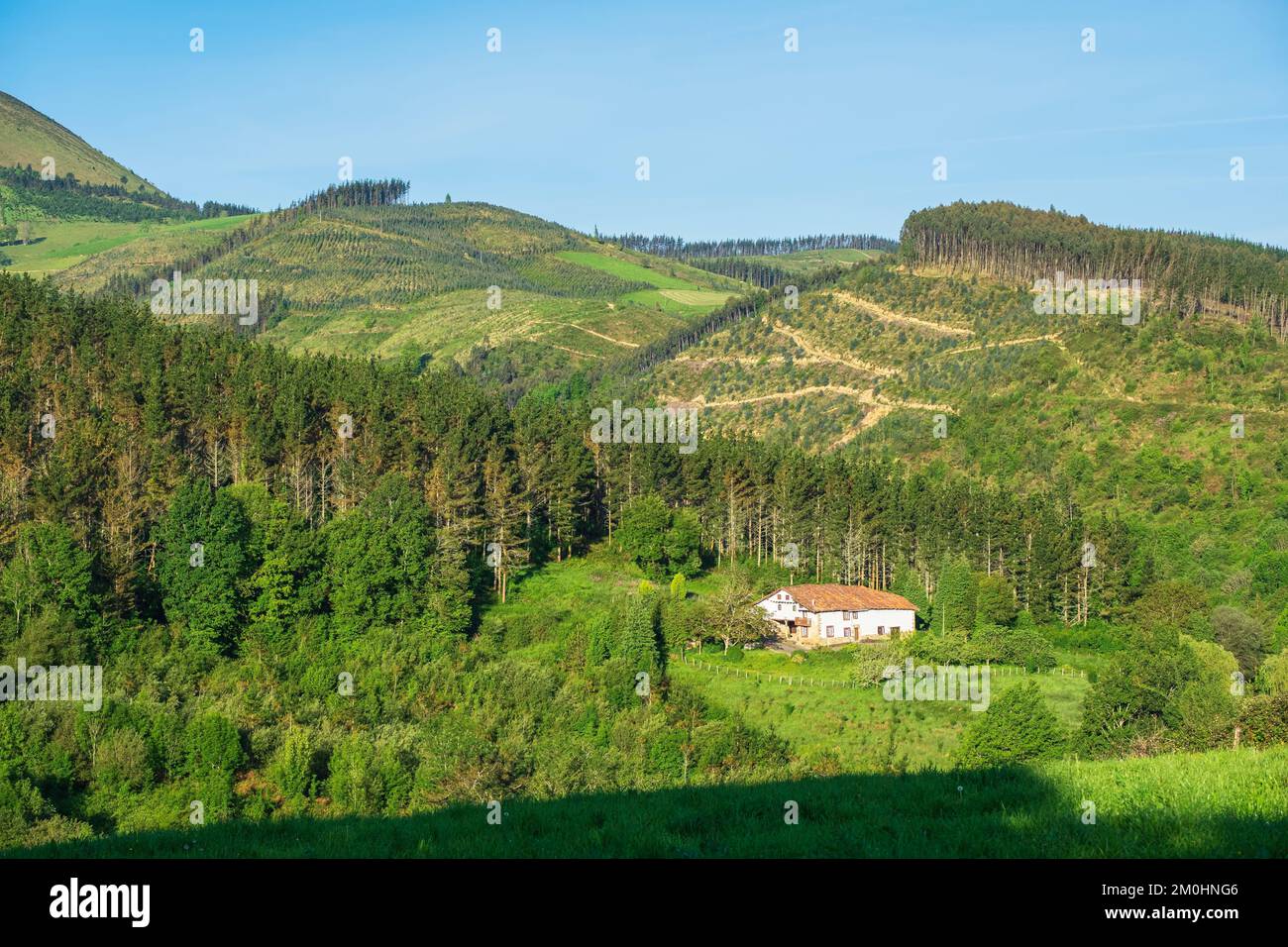 Spain, province of Biscay, Ziortza-Bolibar, landscape on the Camino del ...