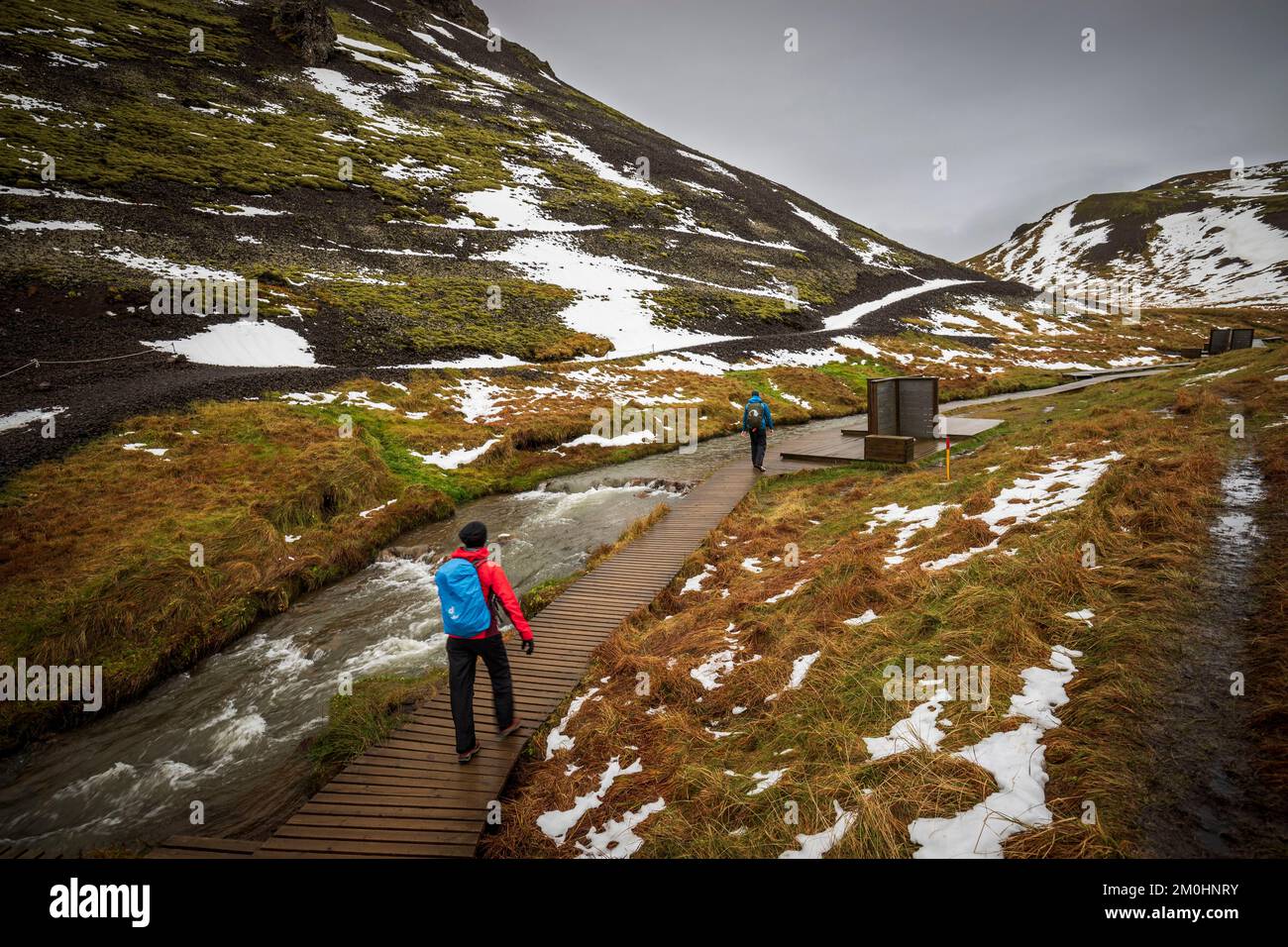 Iceland, Sudurland region, Hveragerdi, hot springs in the thermal ...