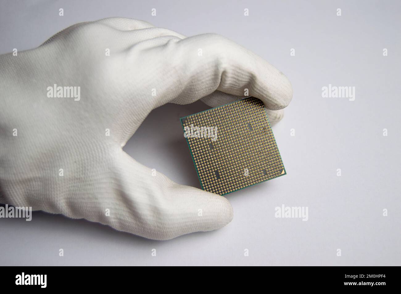Picture of CPU chip in hand, CPU with many pins, on white background ...