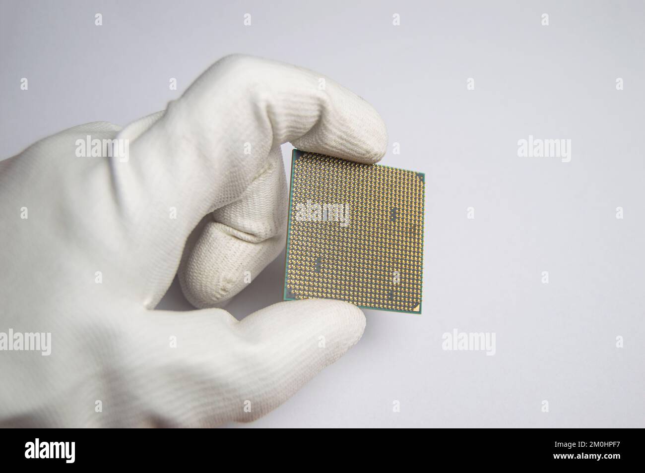 Picture of CPU chip in hand, CPU with many pins, on white background ...