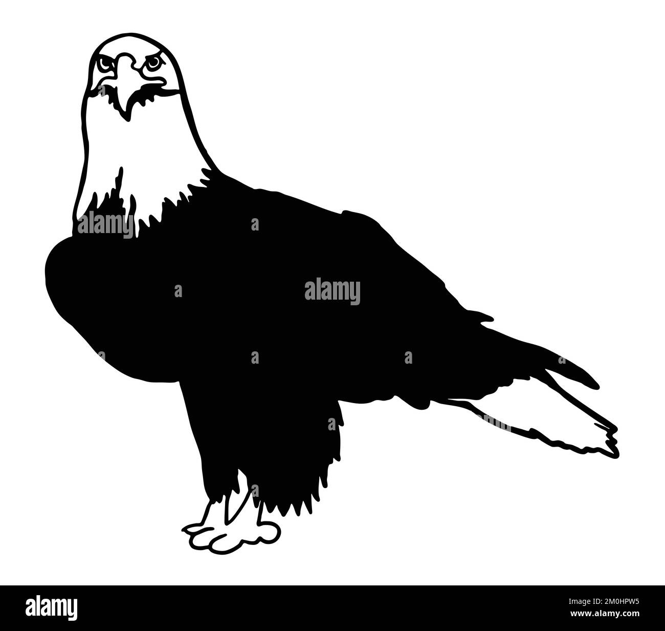 White bird with black wings Stock Vector Images - Alamy