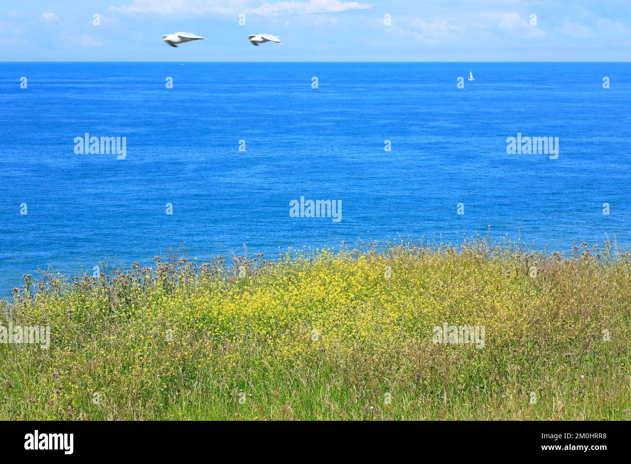 France, Pas de Calais, Cote d'Opale (Opal Coast), Le Portel, Cap d ...