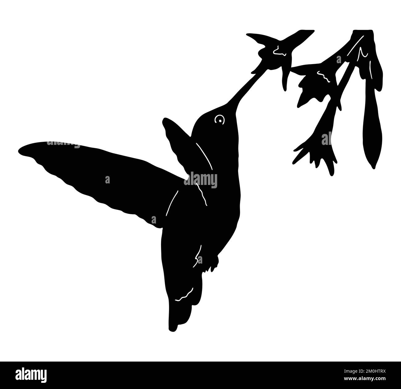 Hummingbird cartoon hi-res stock photography and images - Alamy