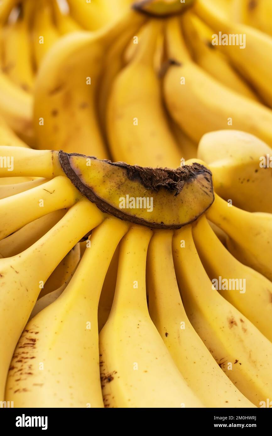 Bunch of ripened bananas at grocery store Stock Photo - Alamy