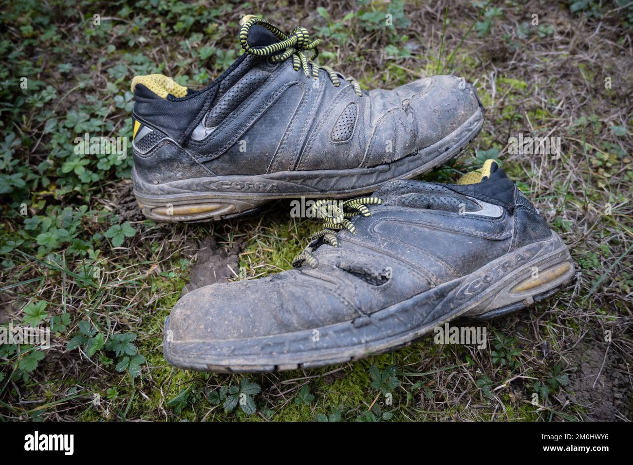 Old safety work shoes worn out by hard work in the fields Stock Photo ...