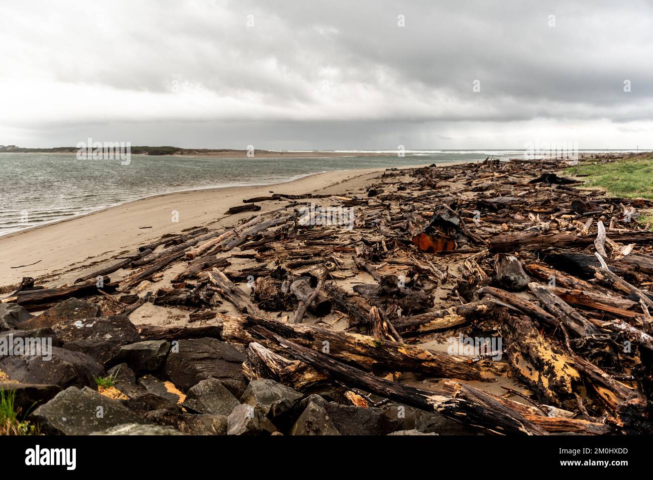The rocks and driftwood in the Siletz Bay along the Oregon coast, OR ...