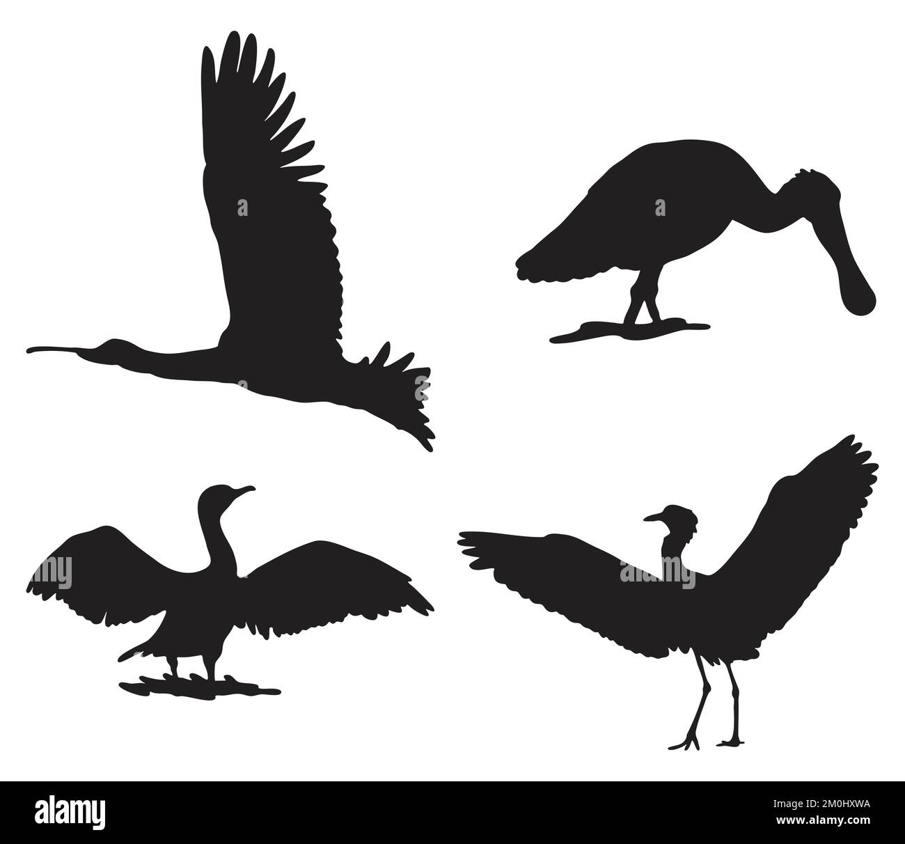Common japanese birds Stock Vector Images - Alamy