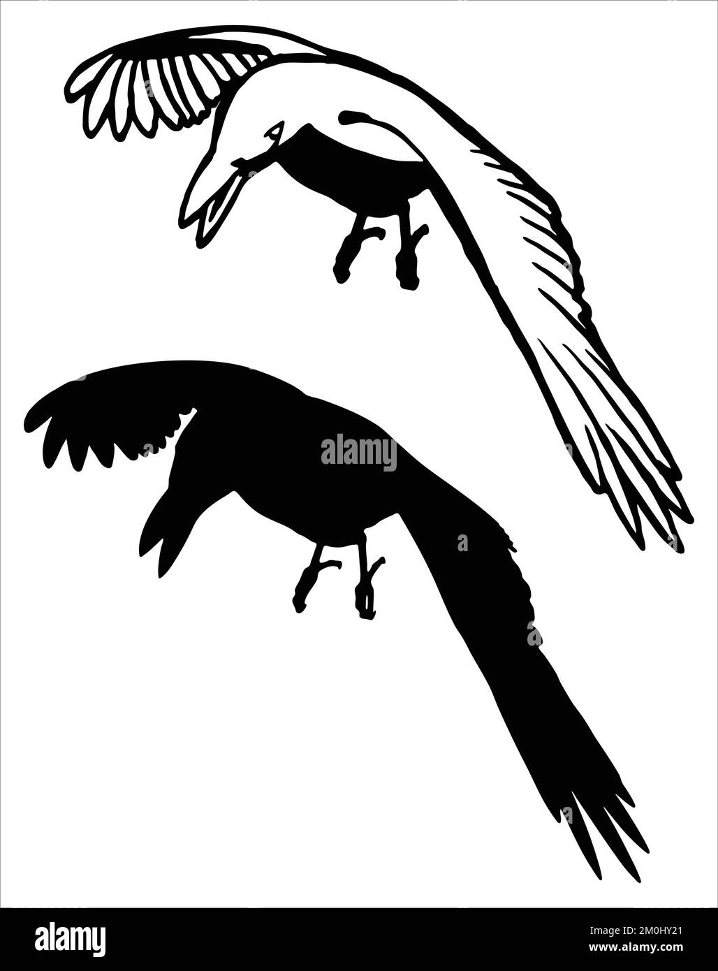 White birds flying dark background Stock Vector Images - Alamy