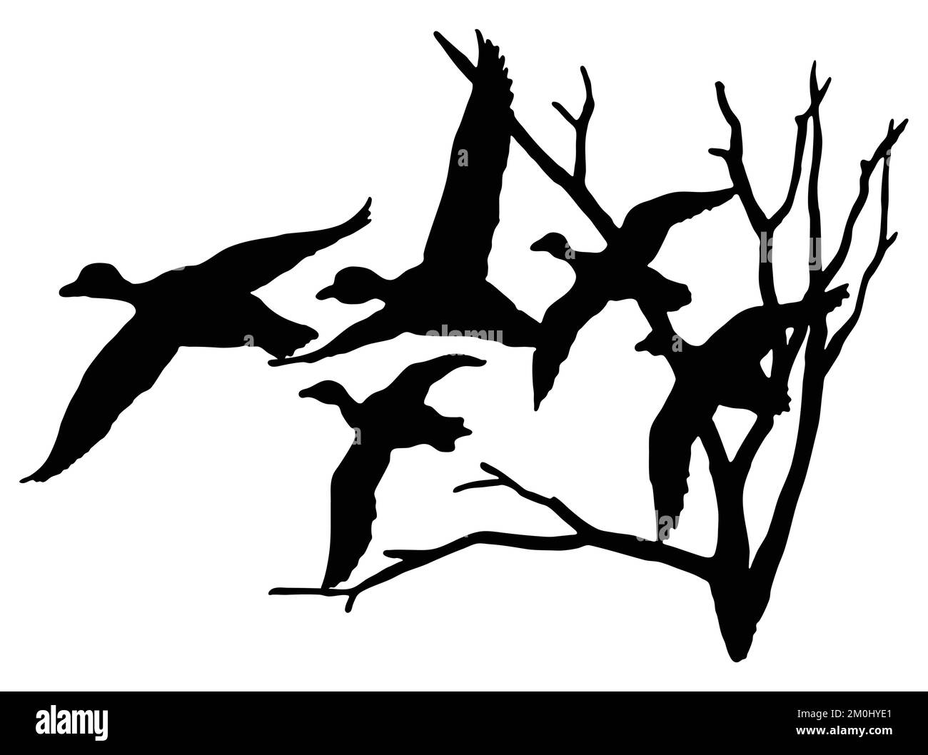 Birds wildlife silhouette Stock Vector Images - Alamy