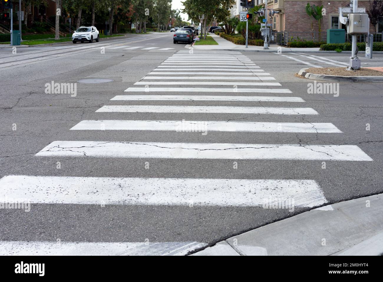 American zebra crossing hi-res stock photography and images - Alamy