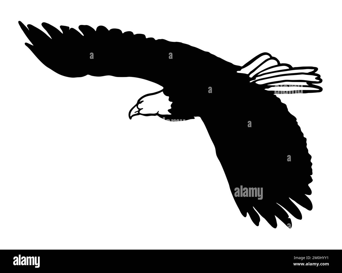 Eagle top view Stock Vector Images - Alamy