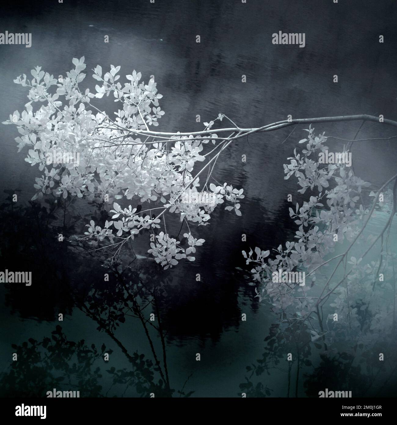 Abstract impressionism hi-res stock photography and images - Alamy