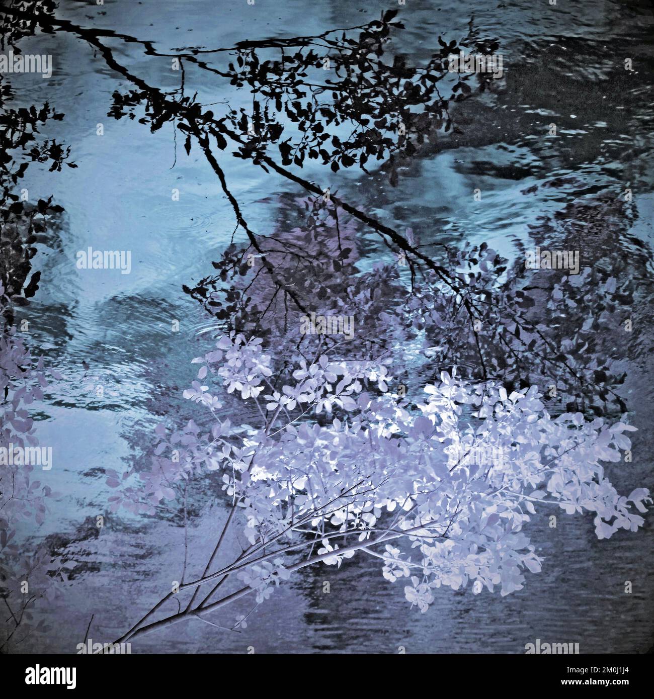 Abstract impressionism hi-res stock photography and images - Alamy