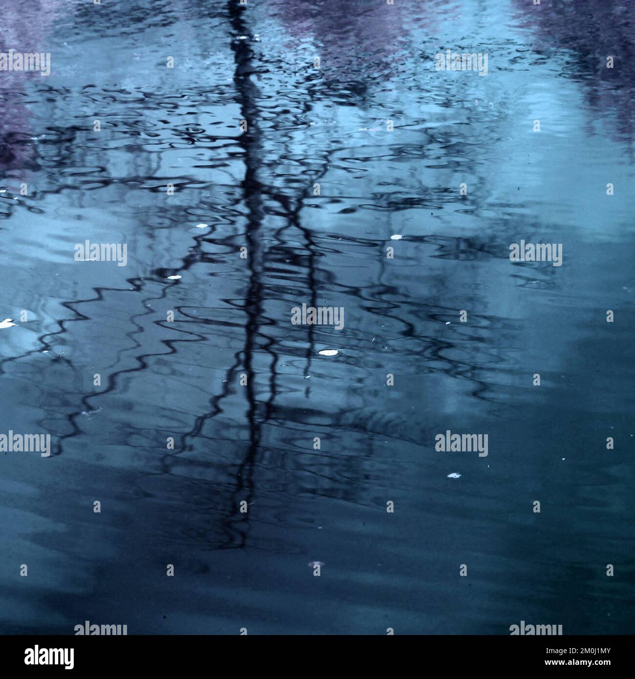 Abstract Impressionism of muted false colour photography of woodland ...