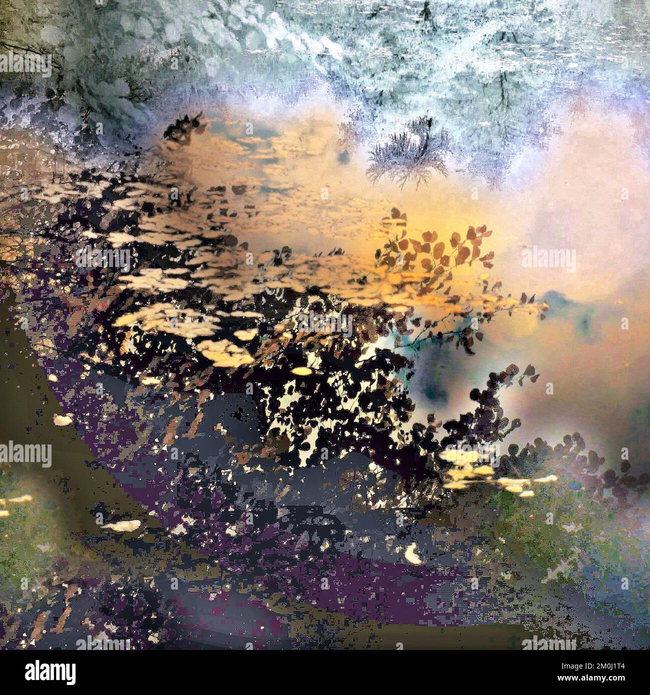 Leaf debris texture hi-res stock photography and images - Alamy