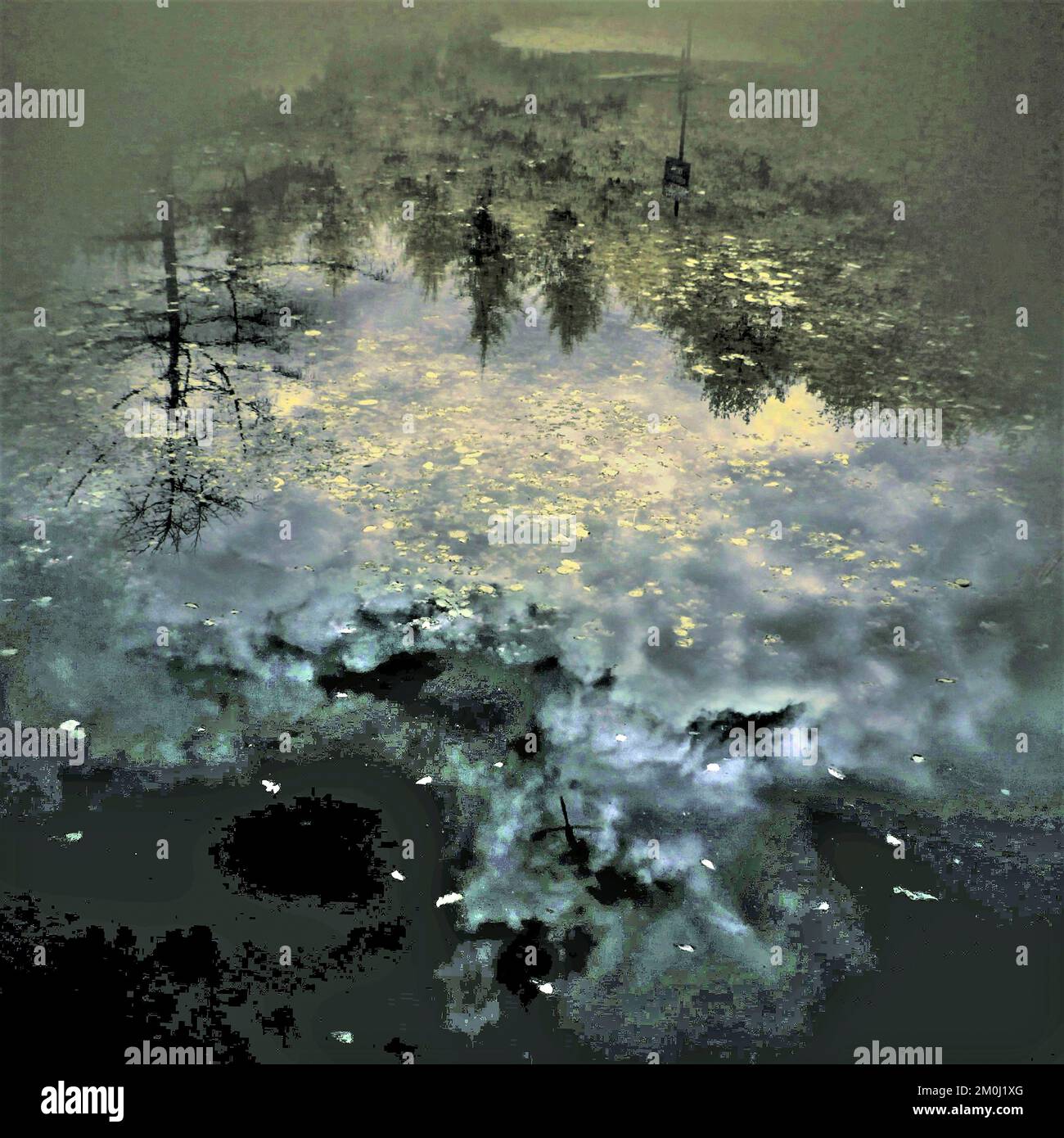 Abstract impression muted colour infra red photograph of woodland pond ...