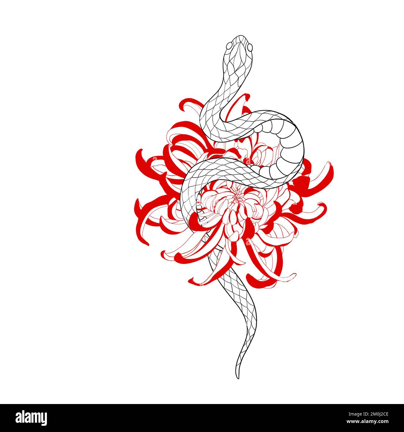 Snake and red chrysanthemum flower detailed tattoo sketch Stock Photo ...