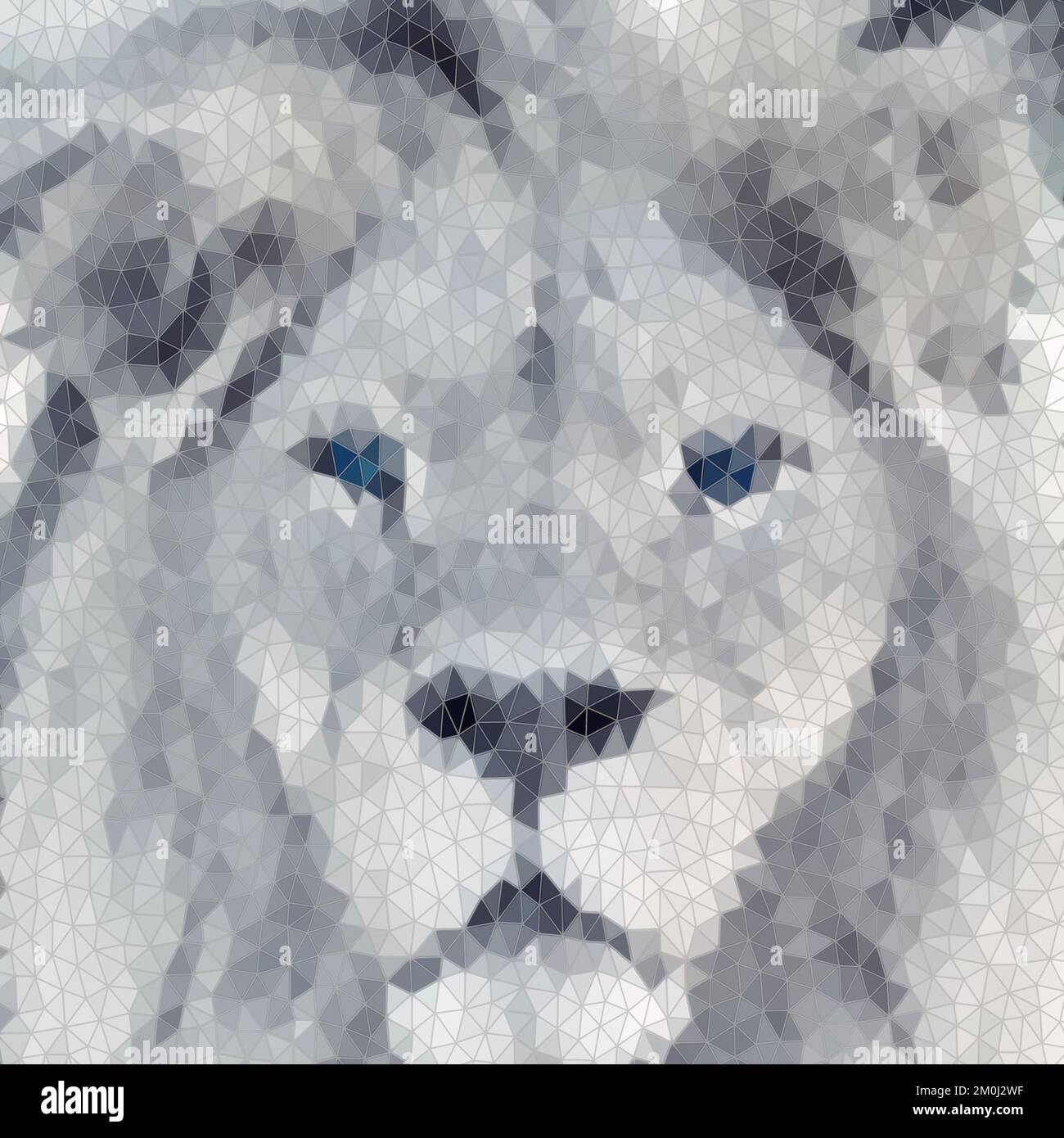 Polygonal White Lion Head, Portrait Adult Lion Stock Photo - Alamy