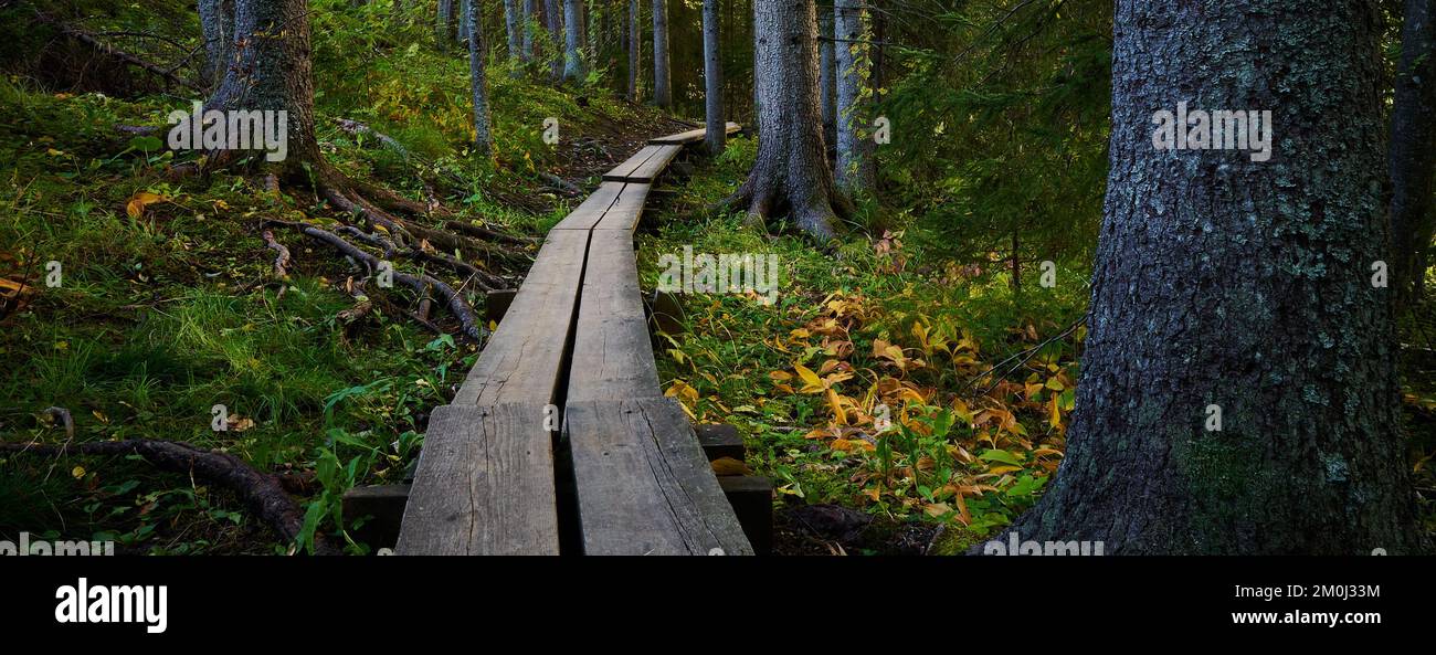Narrow pathway between grass hi-res stock photography and images - Alamy