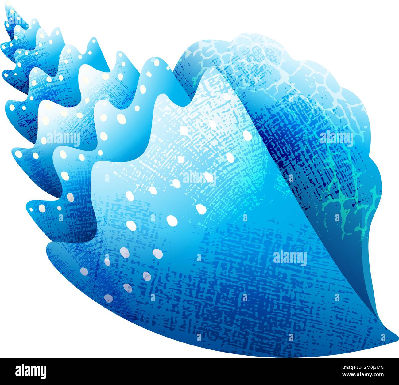 Hand Drawn Colorful Conch Fish Sea Shell Drawing Stock Vector Image ...